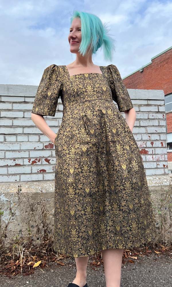 Birds of North America Swamp Devil Dress - Gravure | Garmentory