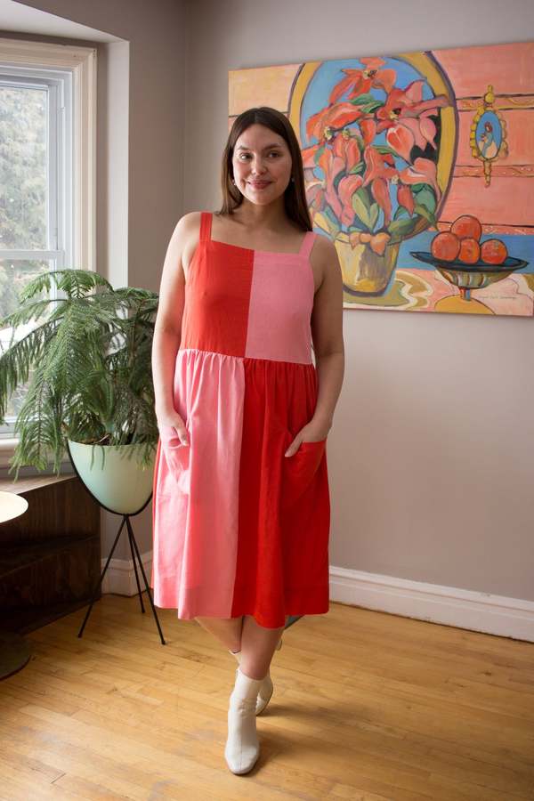 Birds of North America Timber Doodle Dress - Pink/Red | Garmentory