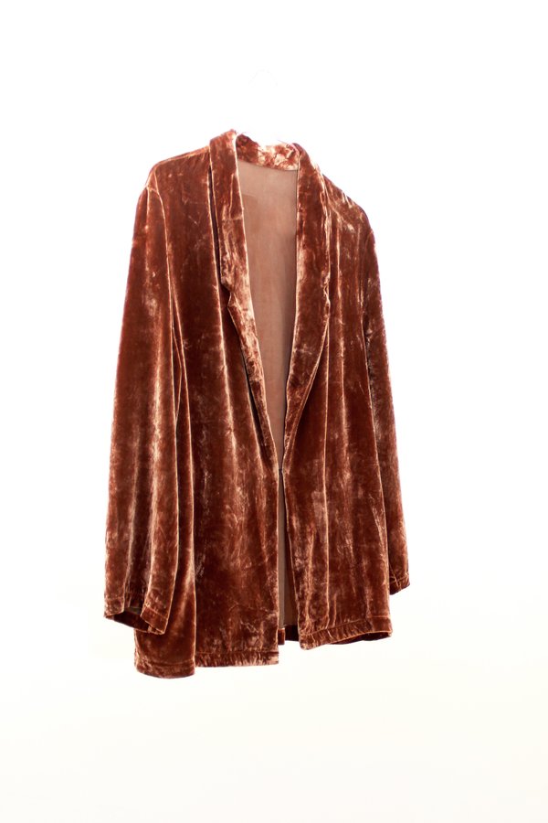 Colorant Silk Velvet Blazer - Copper | Garmentory