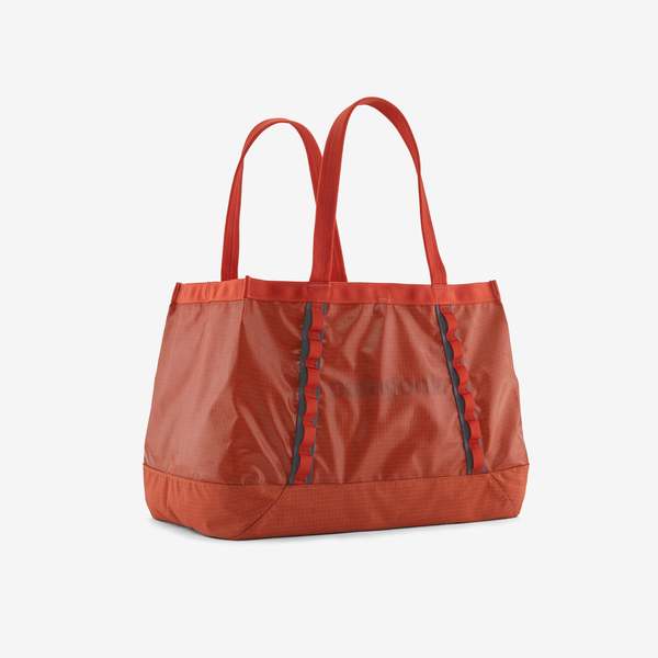 Patagonia Black Hole Tote 25L - Pimento Red | Garmentory