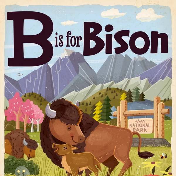 Gibbs Smith B is for Bison A National Parks Alphabet Book | Garmentory