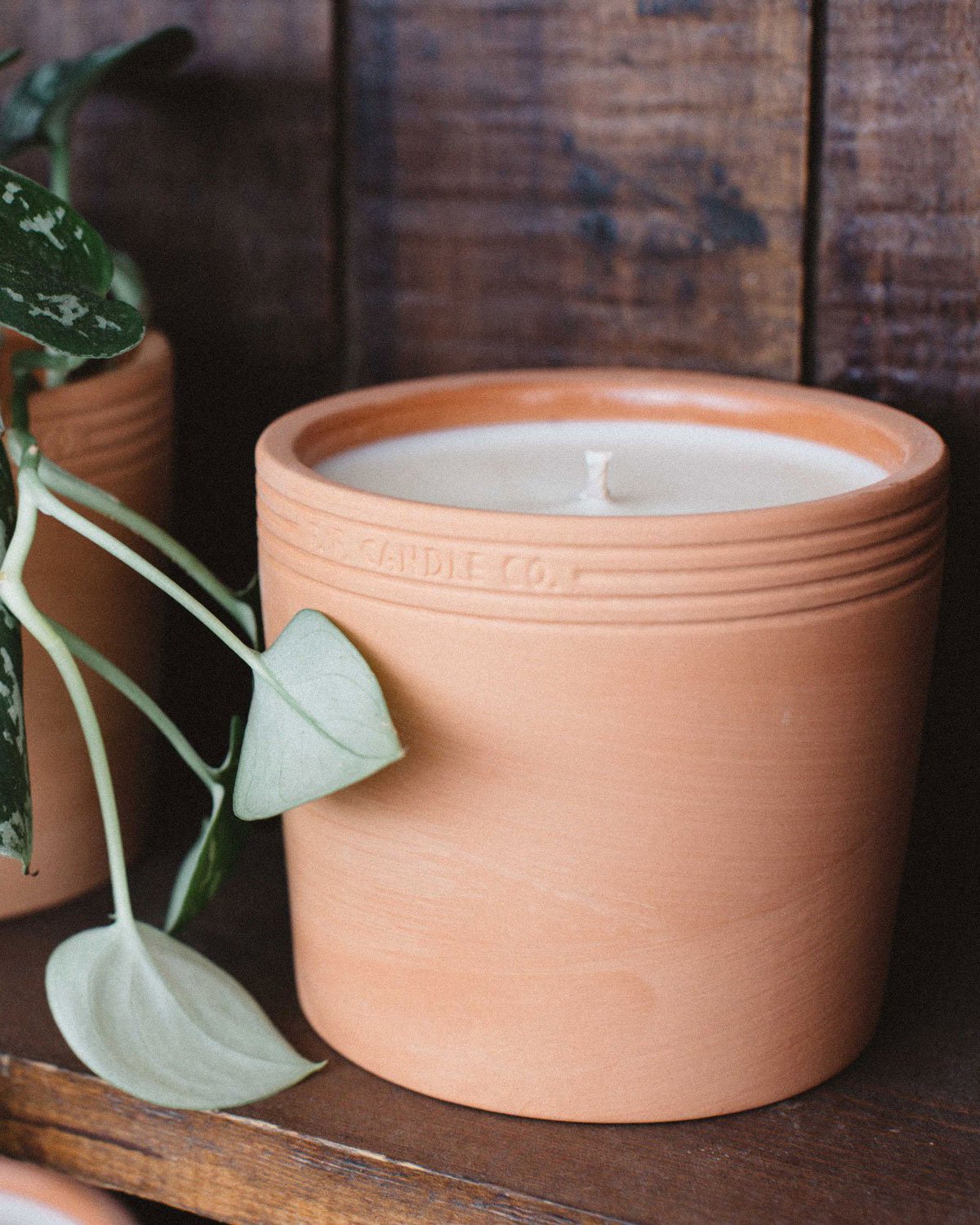 P.F. Candle Co. TERRACOTTA CANDLE - JUNIPER | Garmentory