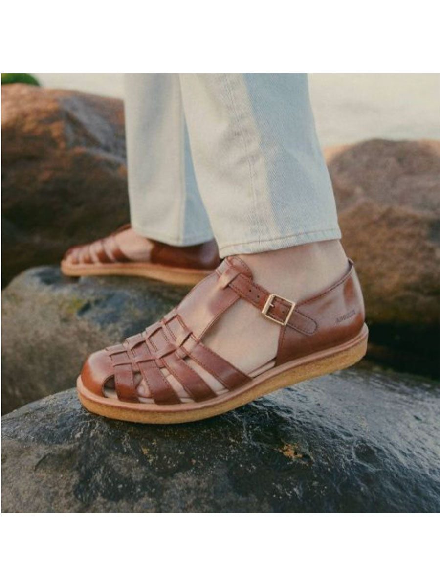 angulus Buckle Sandals - Brown | Garmentory