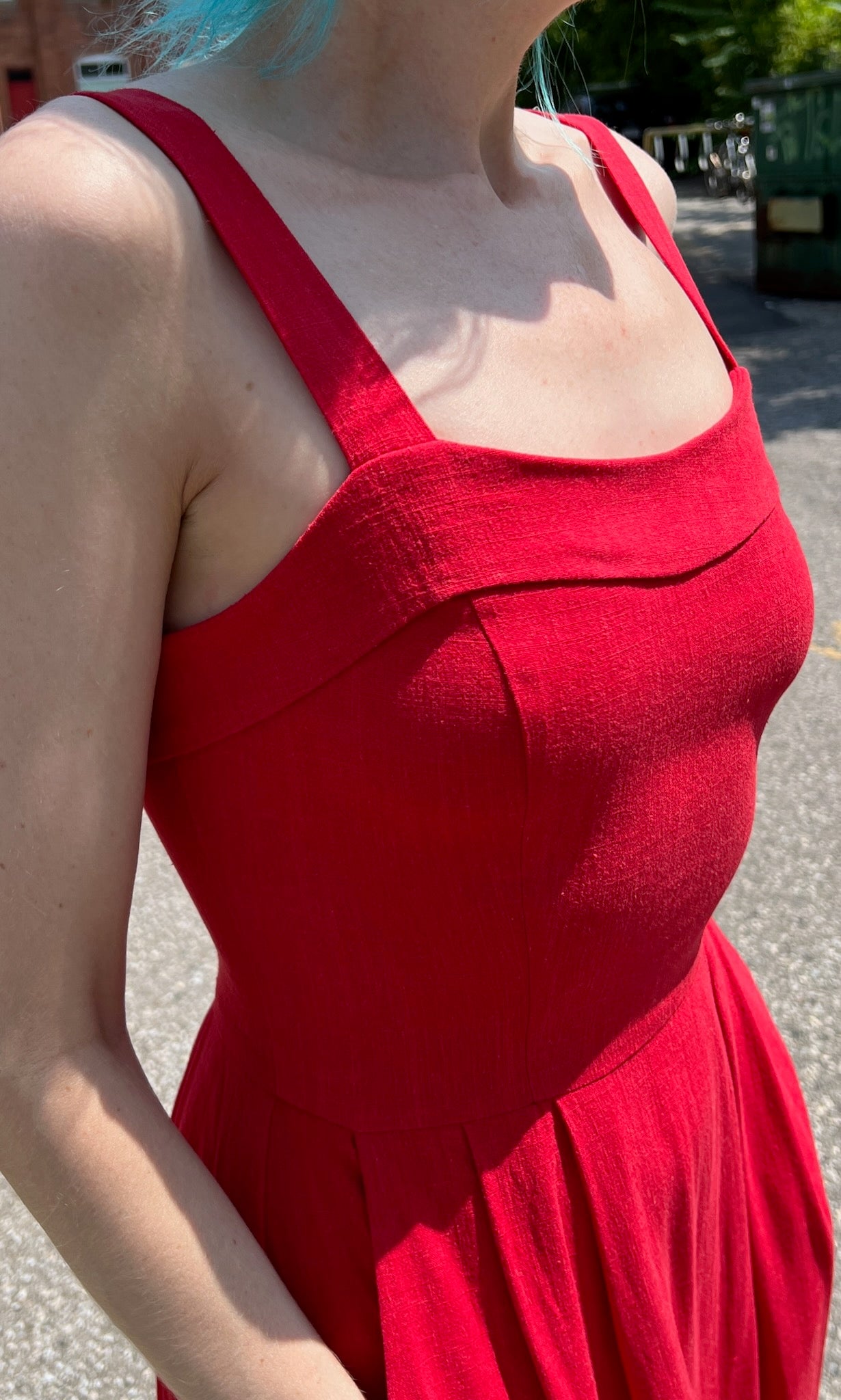 Birds of North America Thornbill Dress - Red | Garmentory