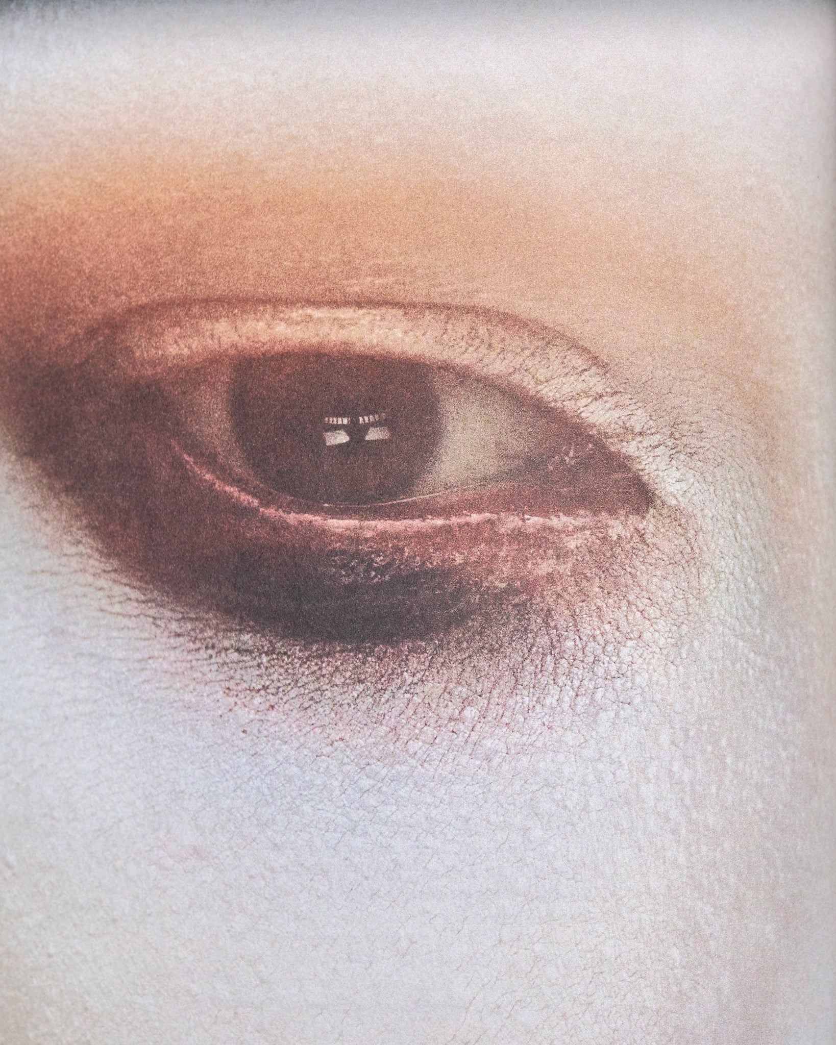 Acne Studios Paper Issue 19 Nocturne | Garmentory