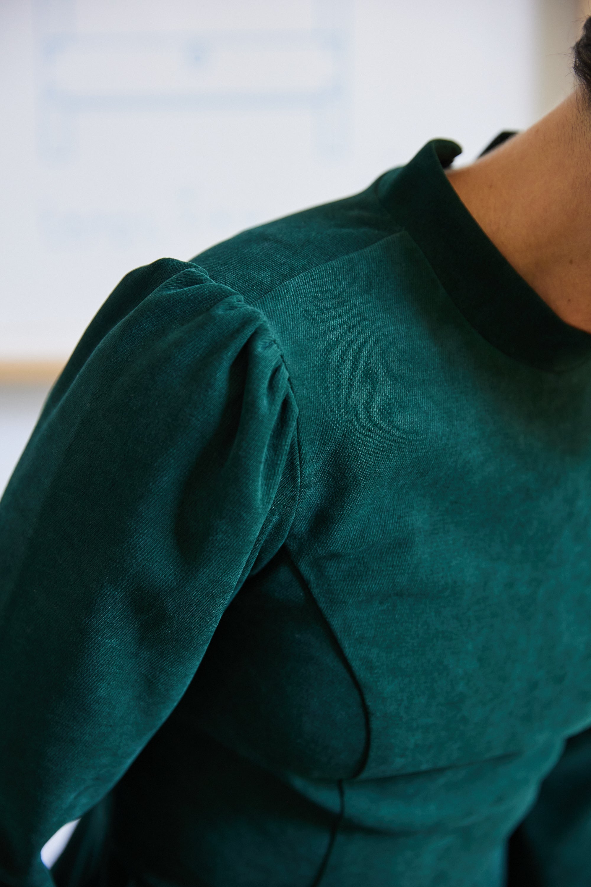 Birds of North America Topaz Dress - CONIFER | Garmentory
