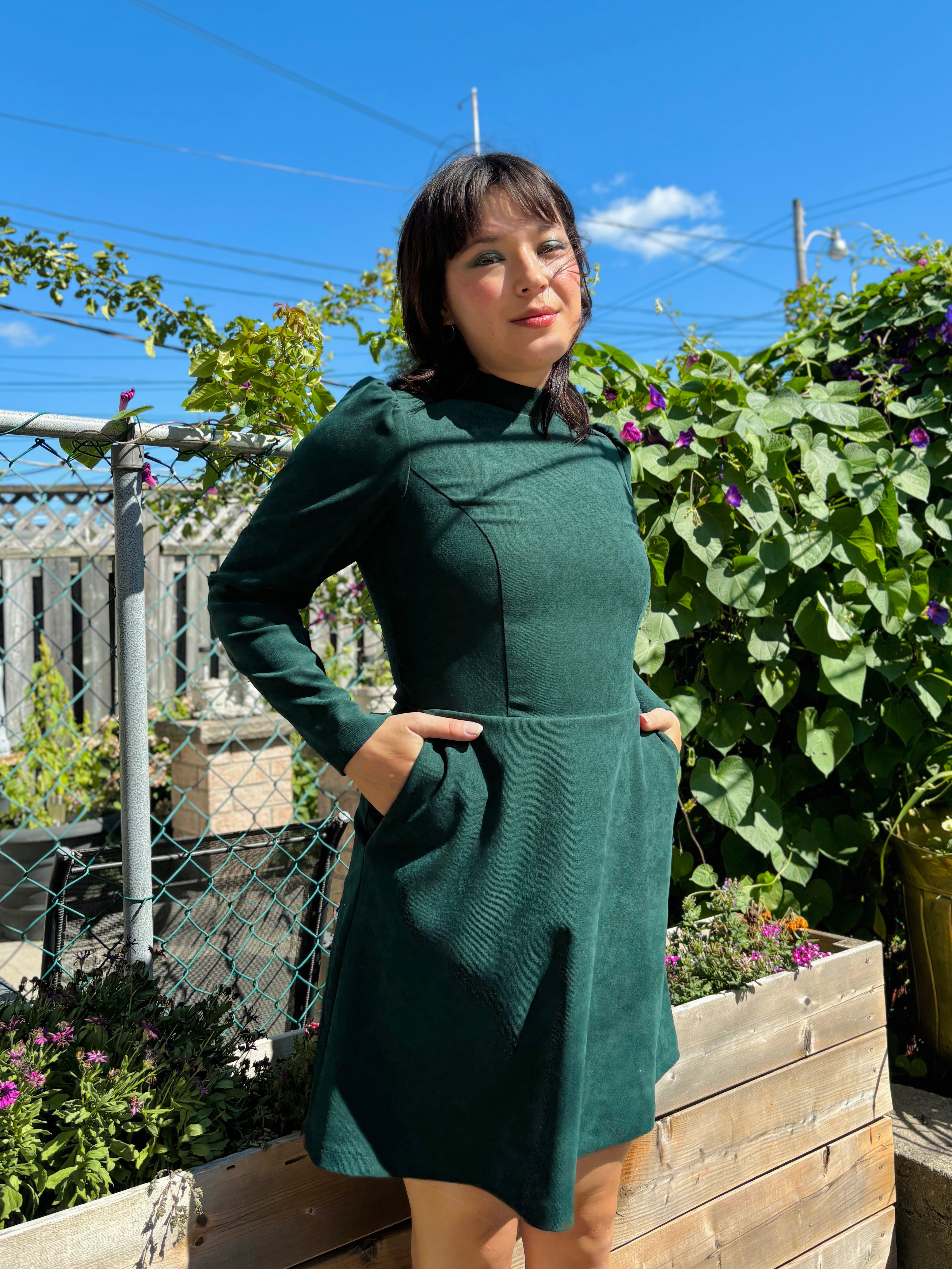 Birds of North America Topaz Dress - CONIFER | Garmentory