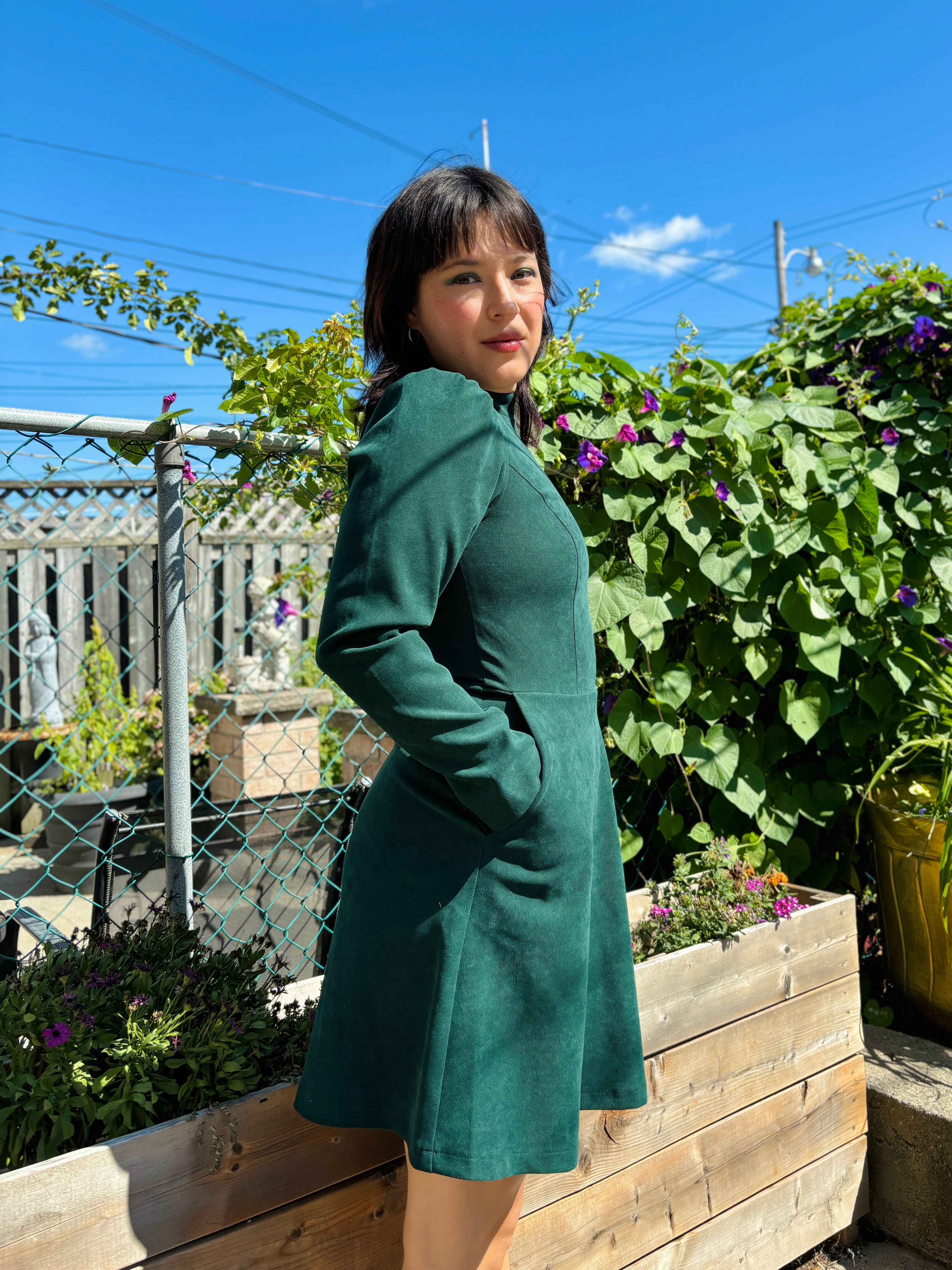 Birds of North America Topaz Dress - CONIFER | Garmentory