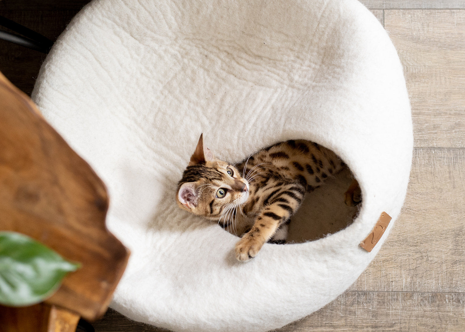 Fuzzy Cove Snow White Round Style Cave | Garmentory