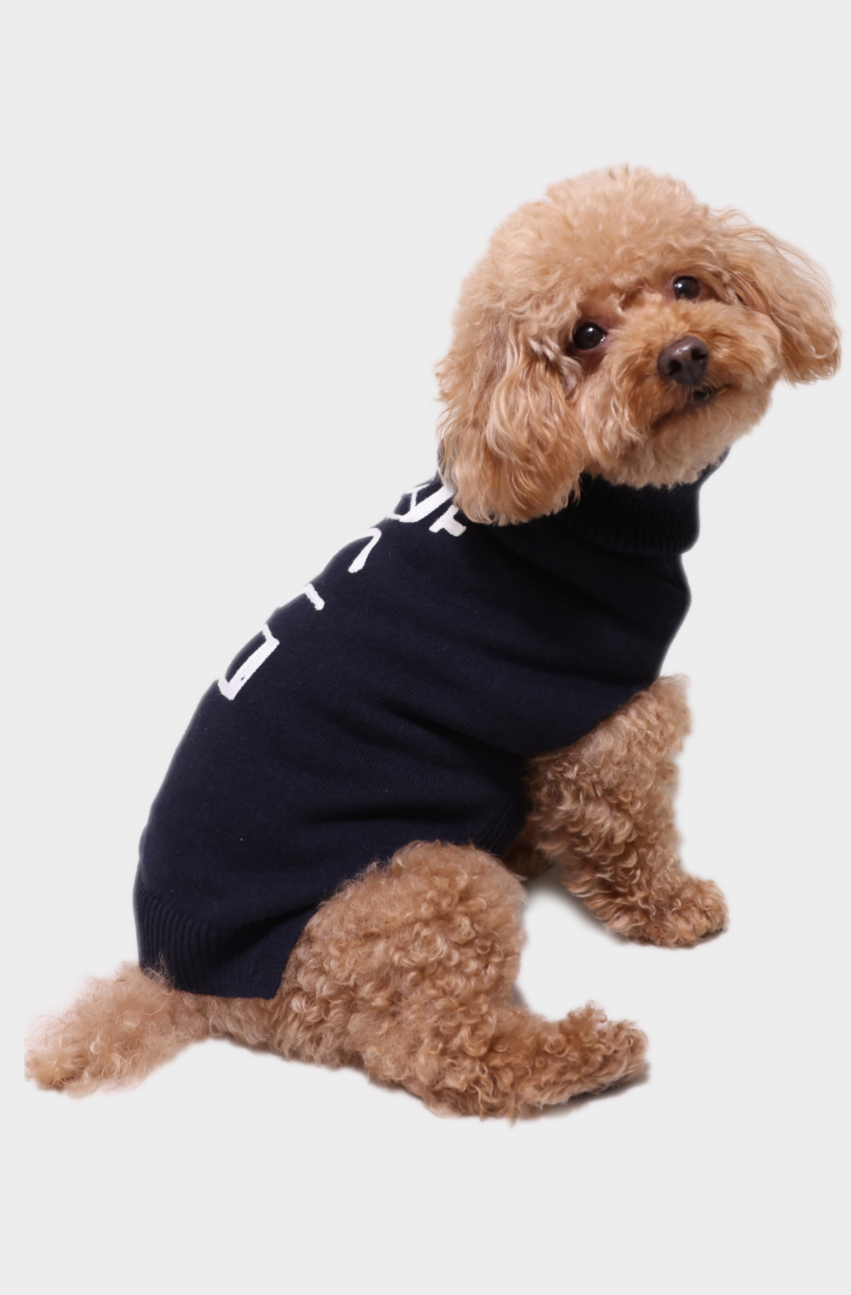 Minnie Rose Cotton Cashmere Dog Shalom Embroidery Sweater - Navy ...