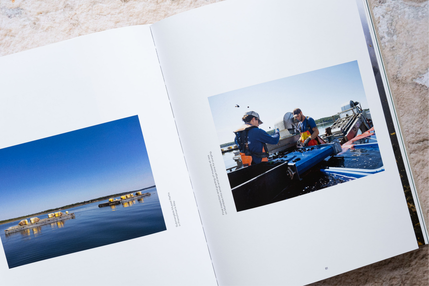 A Touch of Salt Cookbook | Garmentory