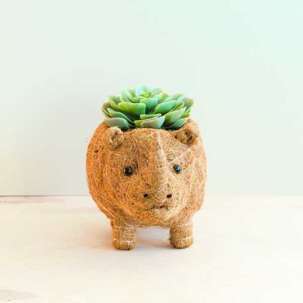 LIKHÂ Rhino Planter - Coco Coir Pot | Garmentory