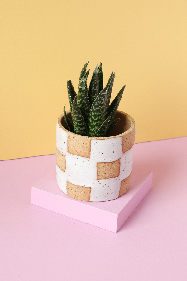 Nightshift Ceramics Checkerboard Planter | Garmentory