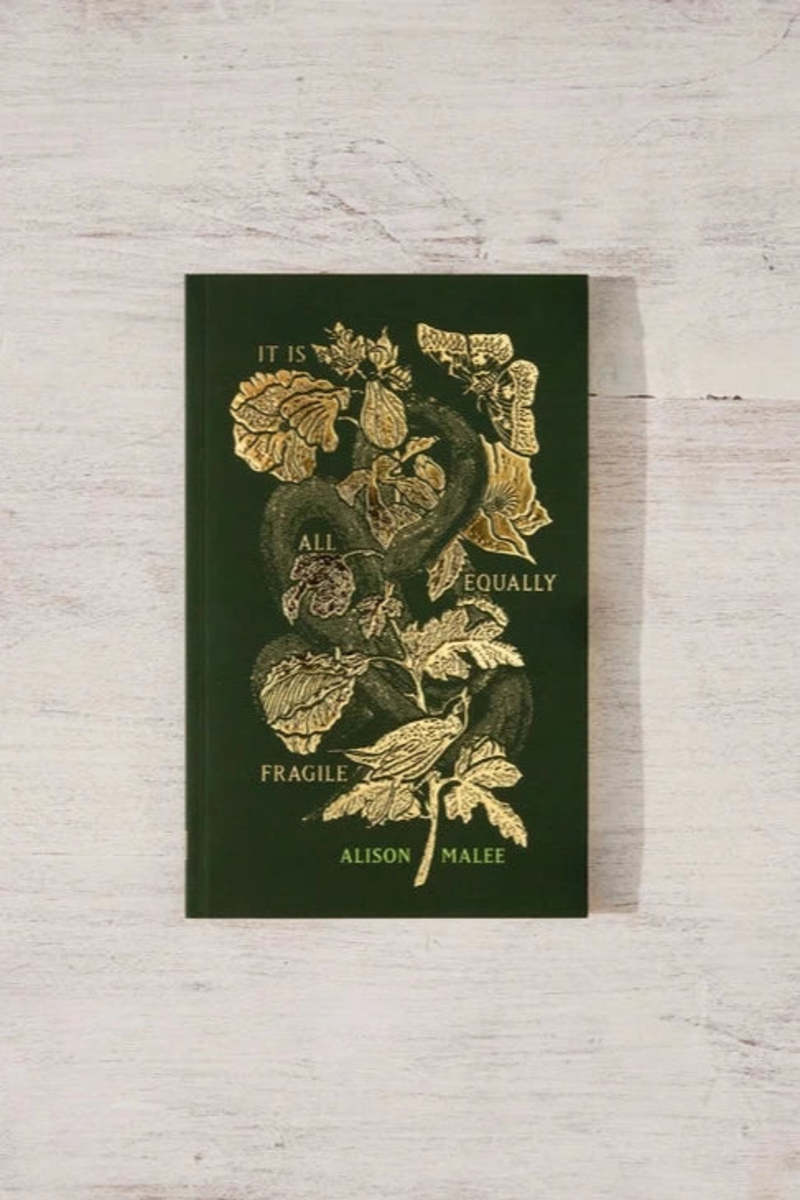 "It Is All Equally Fragile" by Alison Malee Poetry Book | Garmentory