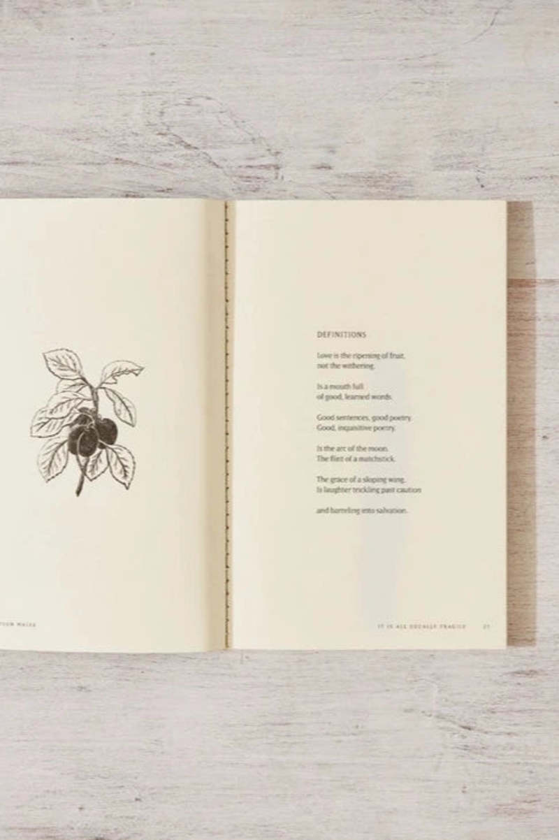 "It Is All Equally Fragile" by Alison Malee Poetry Book | Garmentory
