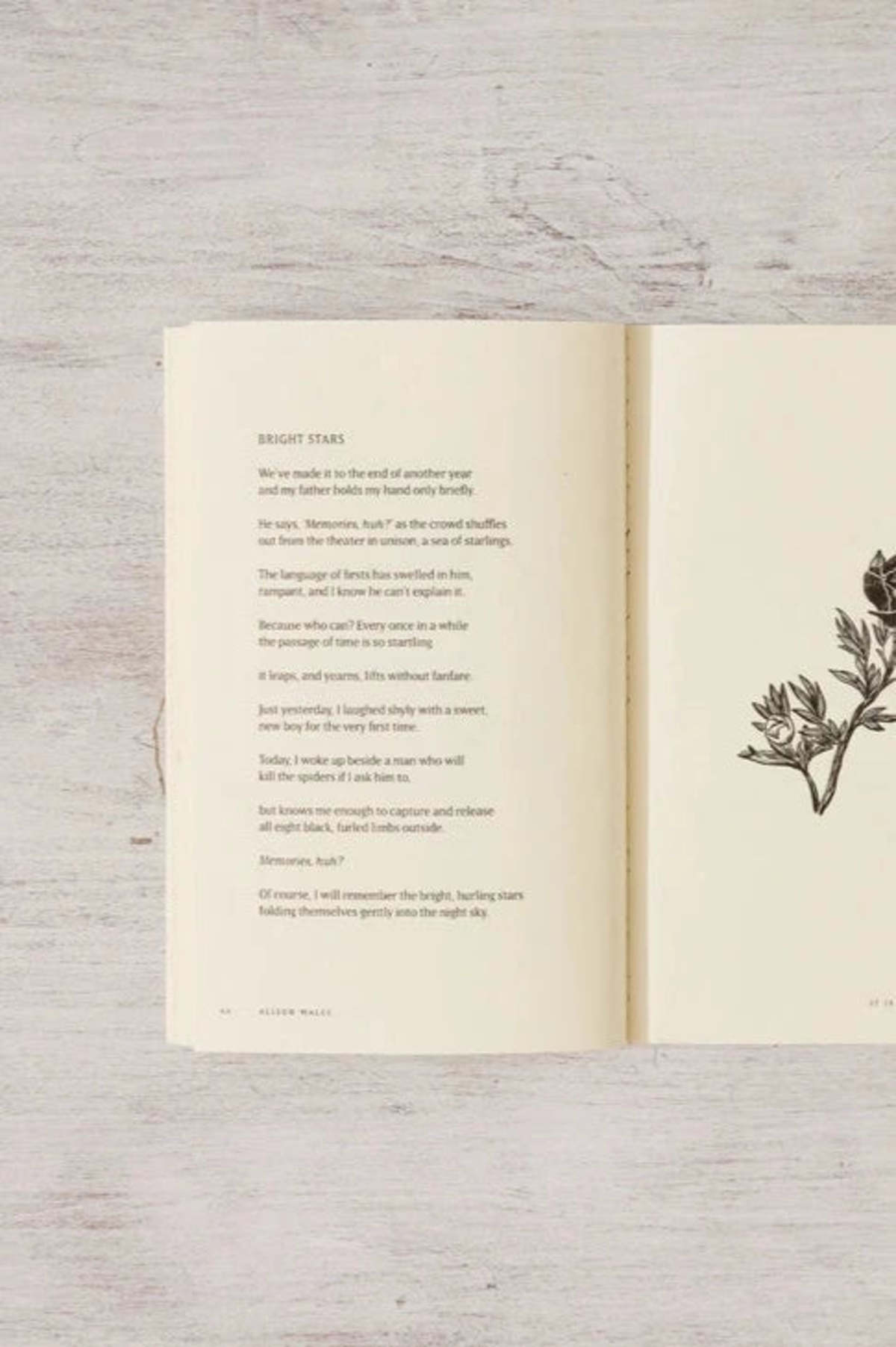 "It Is All Equally Fragile" by Alison Malee Poetry Book | Garmentory