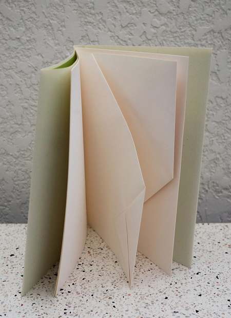 Passenger Pigeon Press | Garmentory