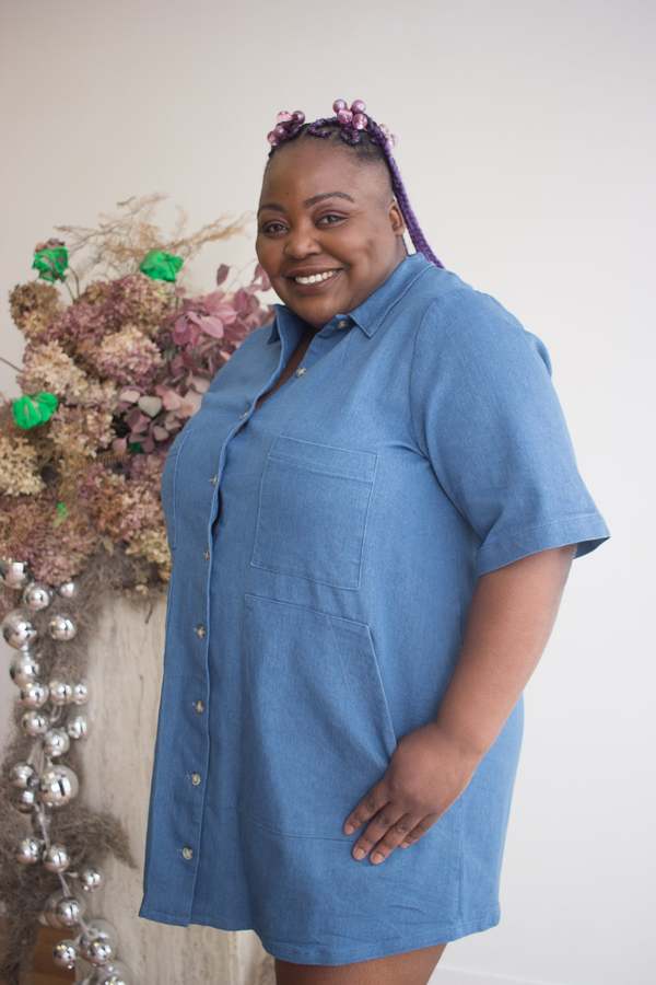 Birds of North America Turr Dress - Medium Wash | Garmentory