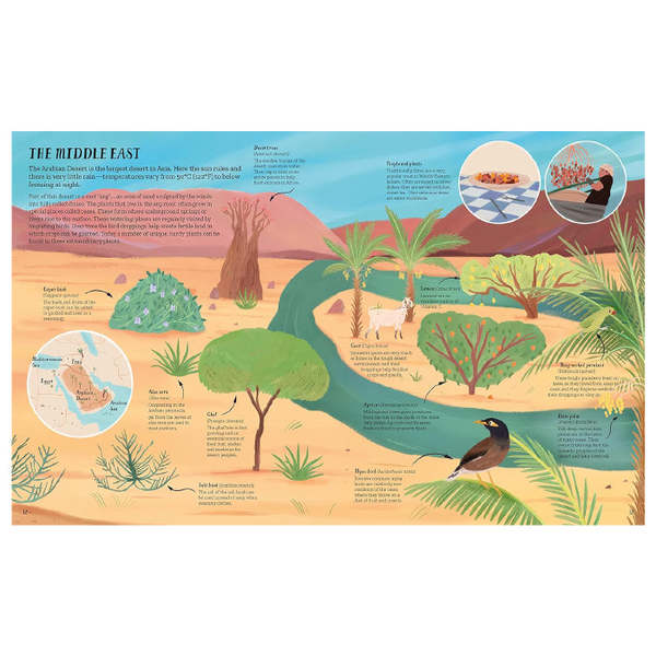 The World of Plants: An Illustrated Guide to the Wonders of the Wild by ...