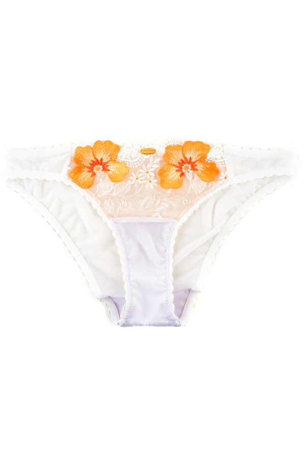 Nette Rose Buttercup Bikini Brief - Buttercup | Garmentory