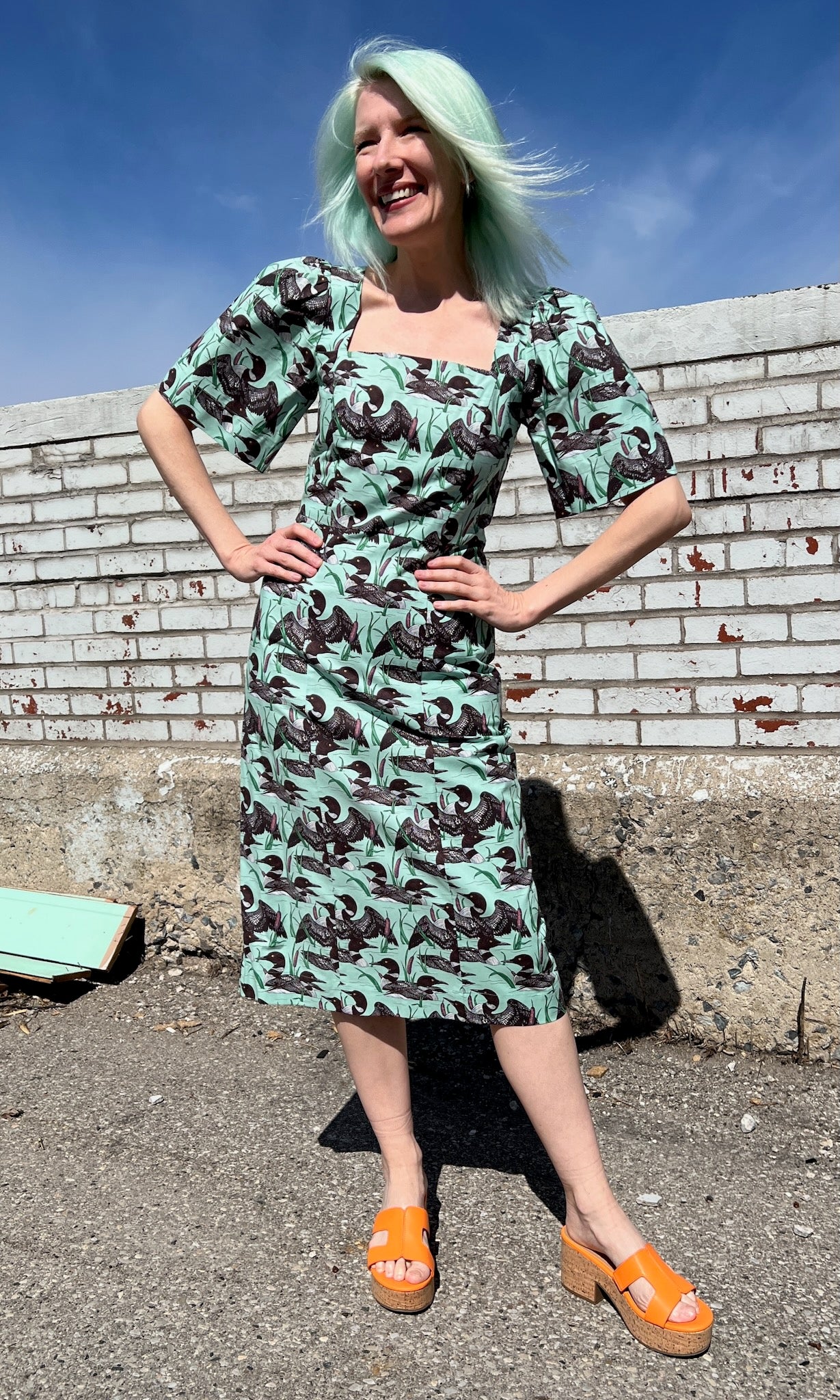 Birds of North America Maybird Dress - Loons | Garmentory