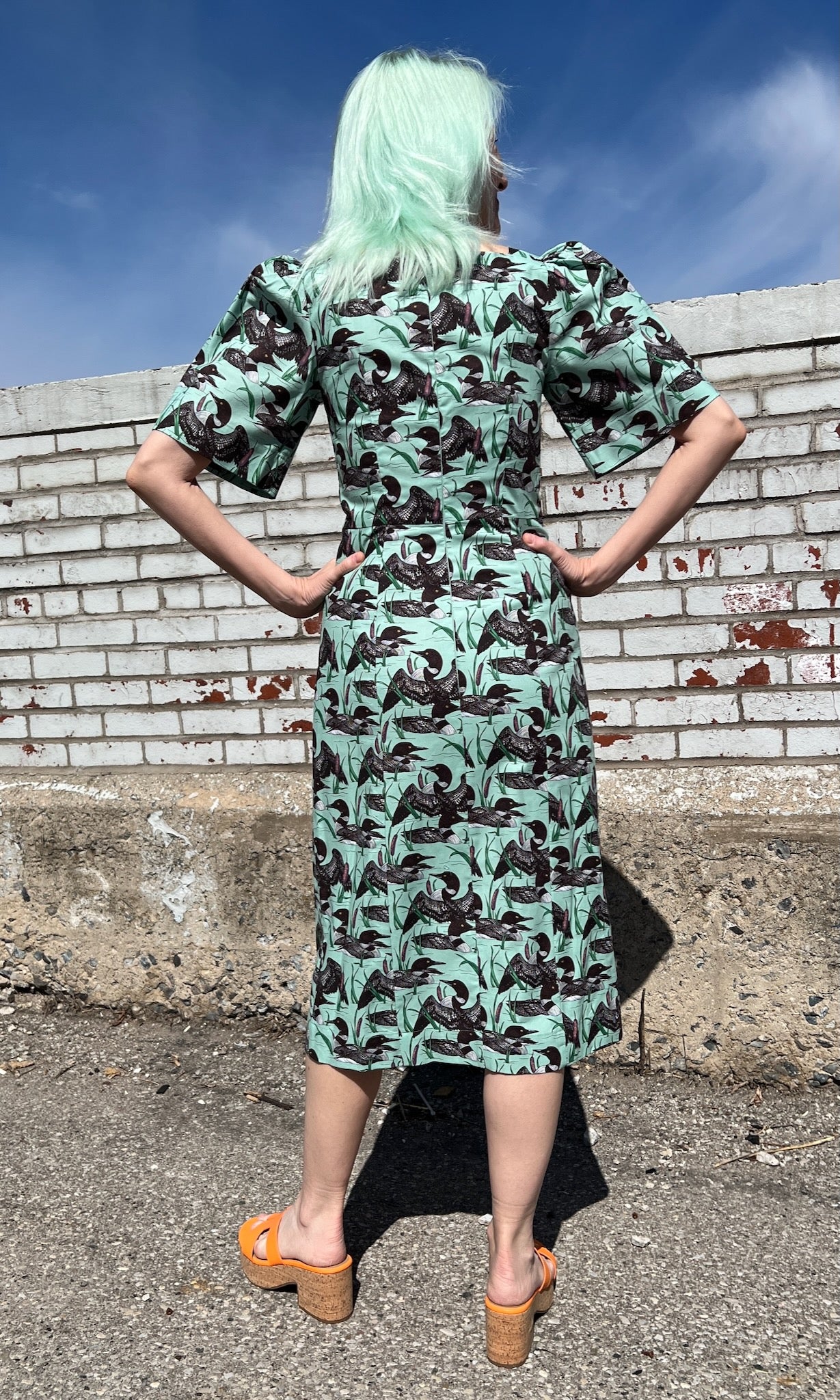 Birds of North America Maybird Dress - Loons | Garmentory