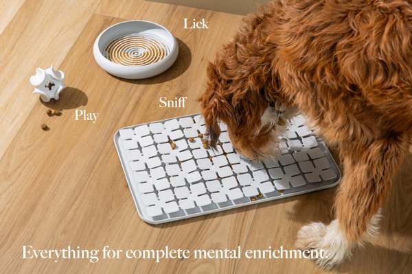 Lay Lo Dog Enrichment Starter Bundle & Gift Box | Garmentory