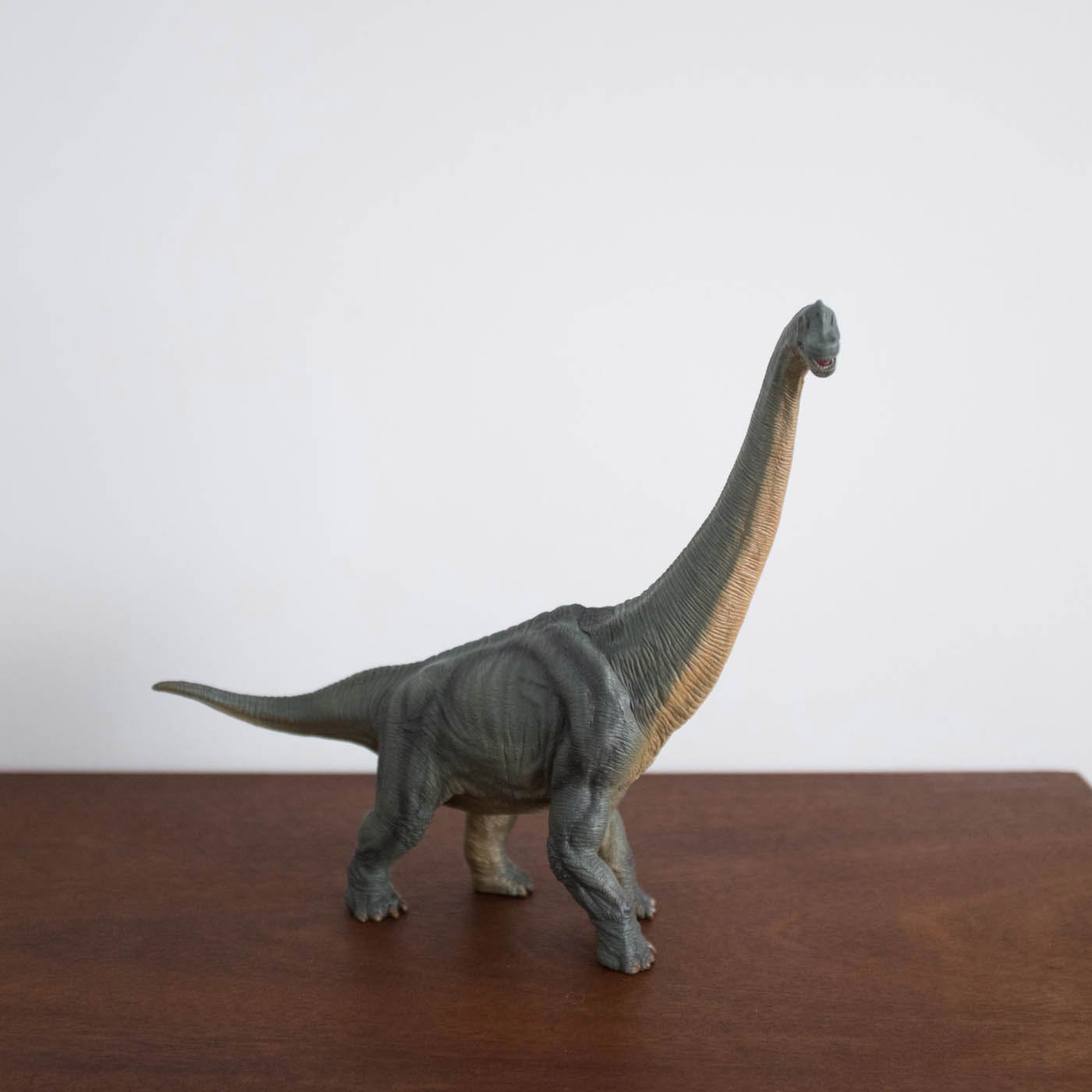 Shop Merci Milo Papo Brachiosaurus Dinosaur | Garmentory