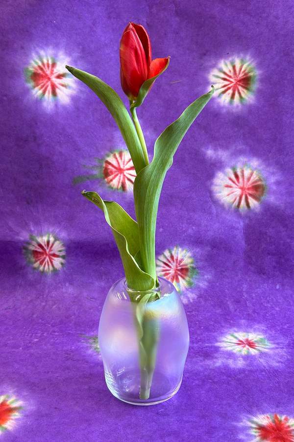 Sirius Glassworks Mist Clear Crush Vase | Garmentory