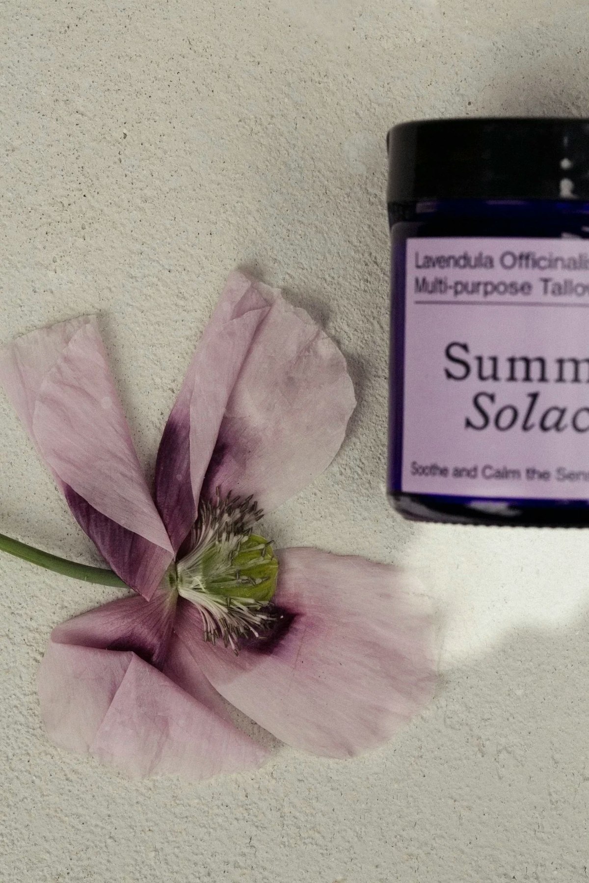 Summer Solace Lavandula Tallow Balm | Garmentory