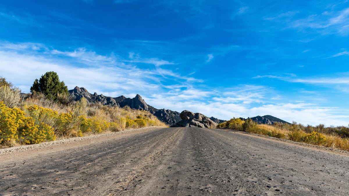 Ghost Town Ranch Hand-Poured Travel Candle, Wildflowers Candle | Garmentory