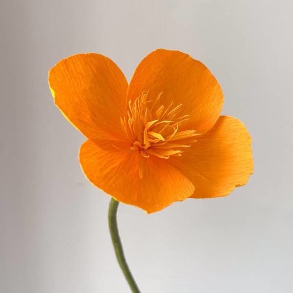 Papercraft Miracles LLC California Poppy Paper Flower | Garmentory