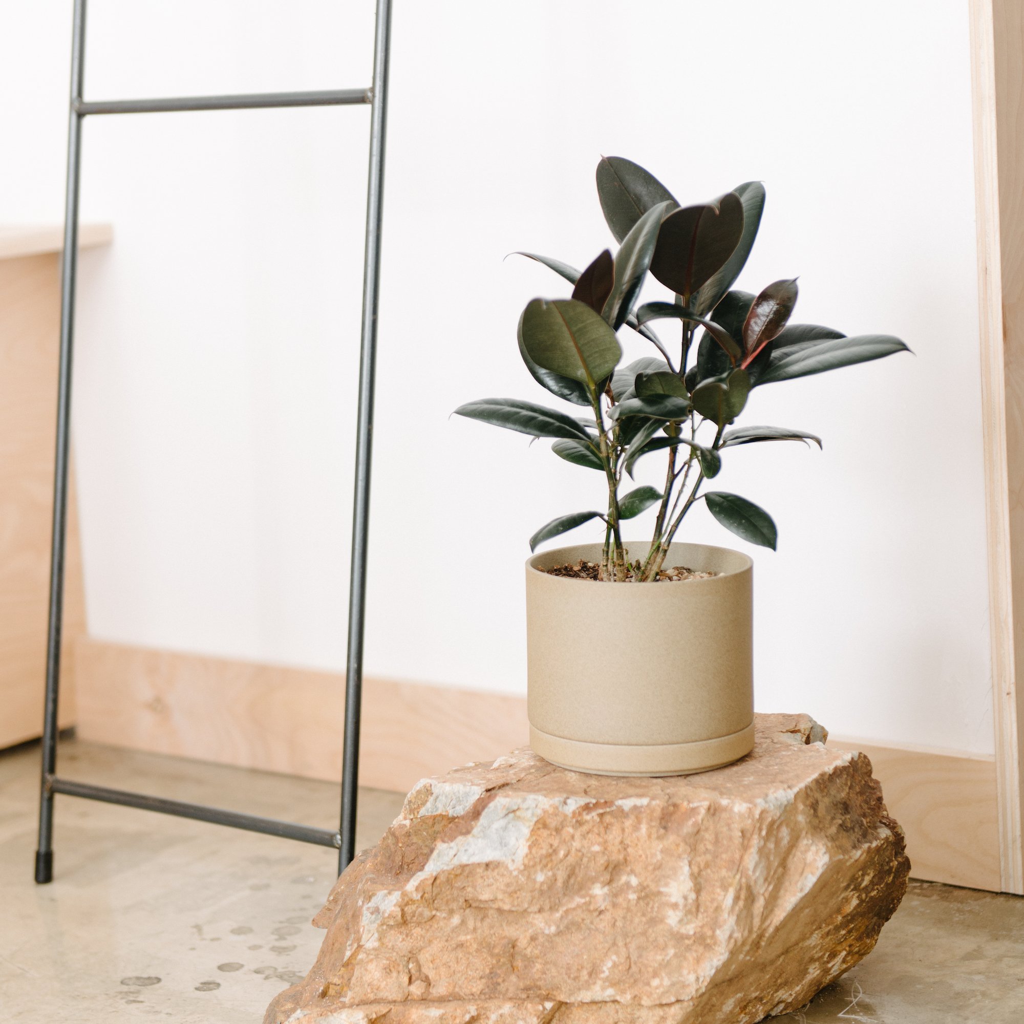 Hasami Porcelain Planter | Garmentory