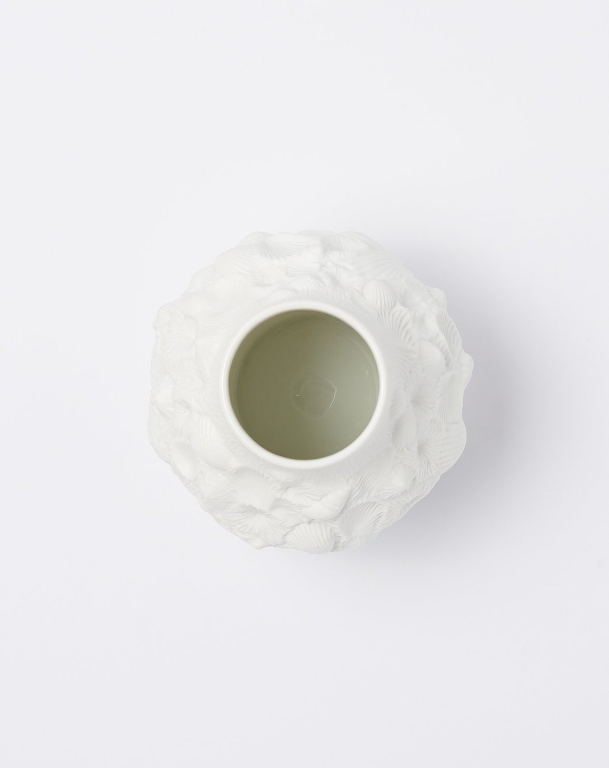 Covet + Lou Vintage Kaiser Shell Vessel - White | Garmentory