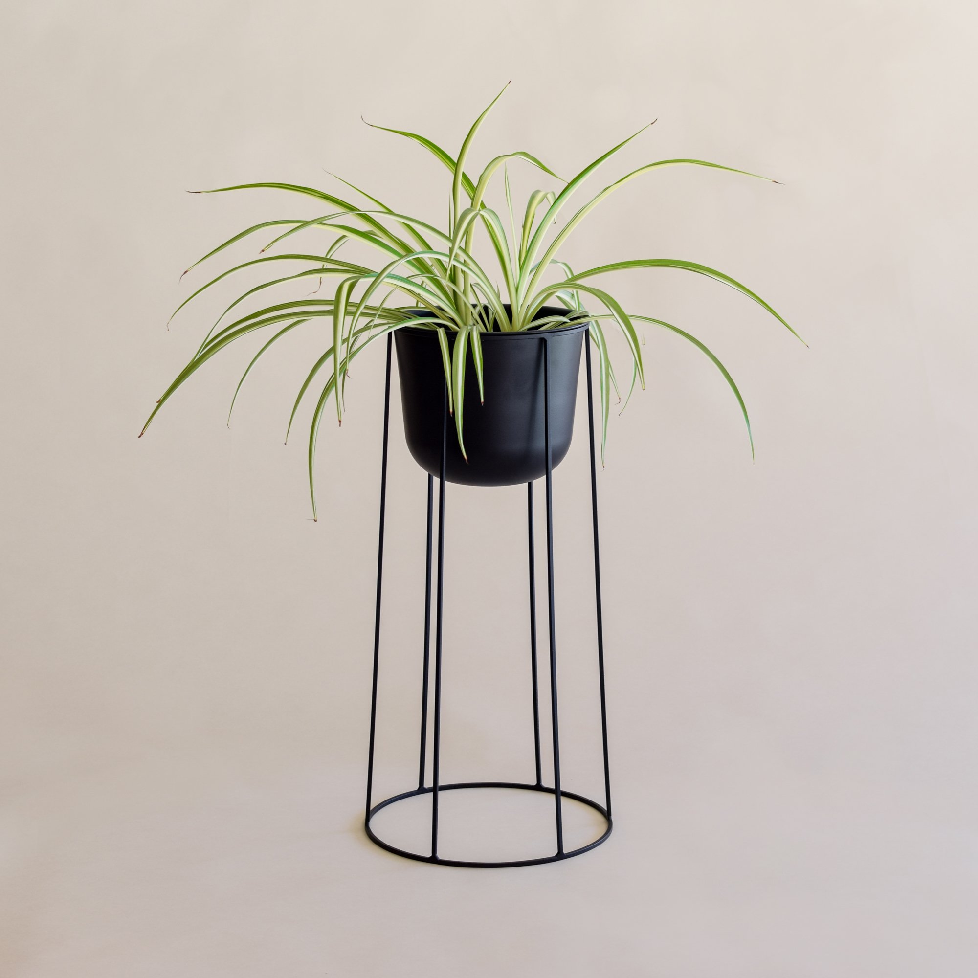 Menu Wire Base + Wire Pot planter | Garmentory