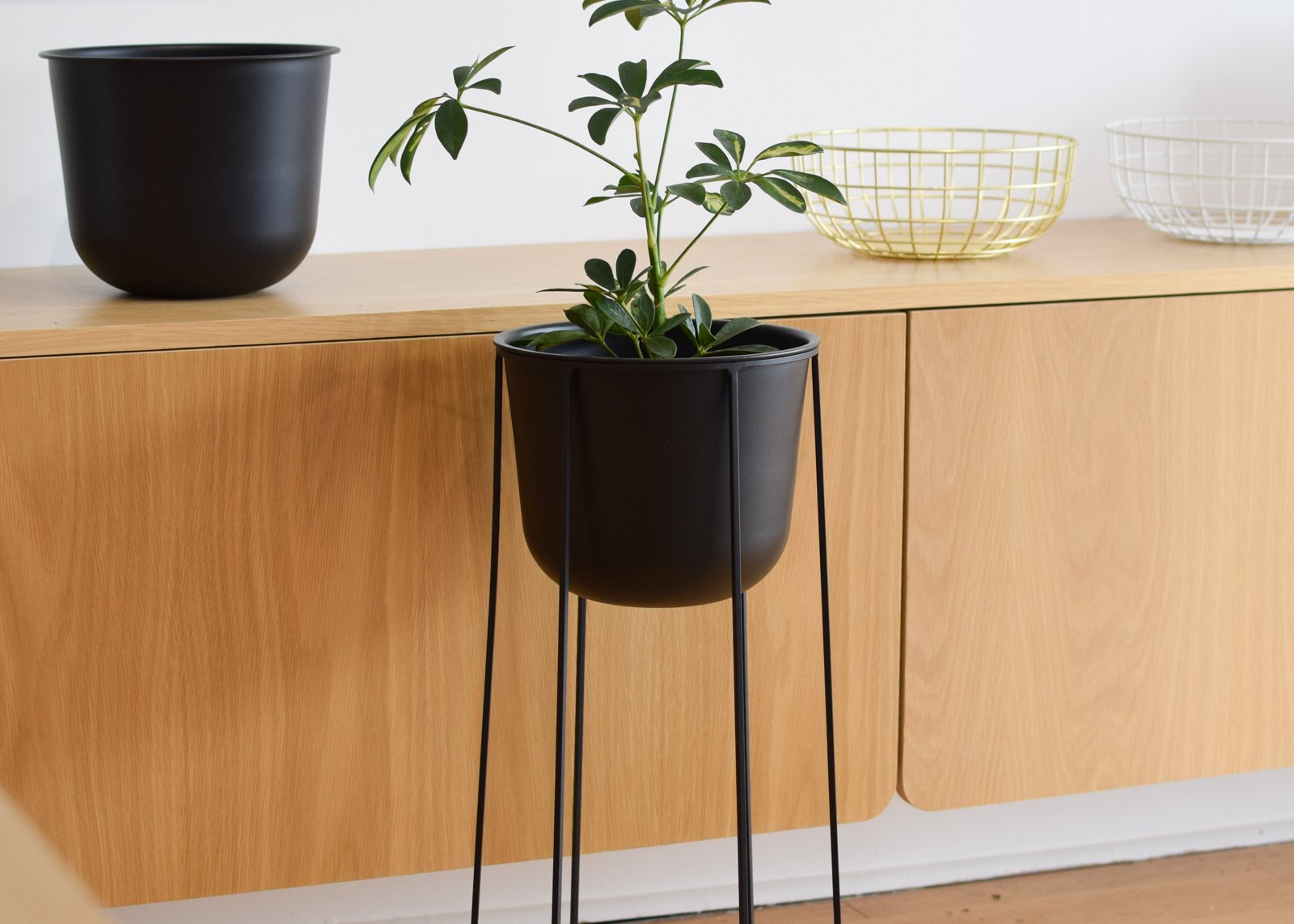 Menu Wire Base + Wire Pot planter | Garmentory
