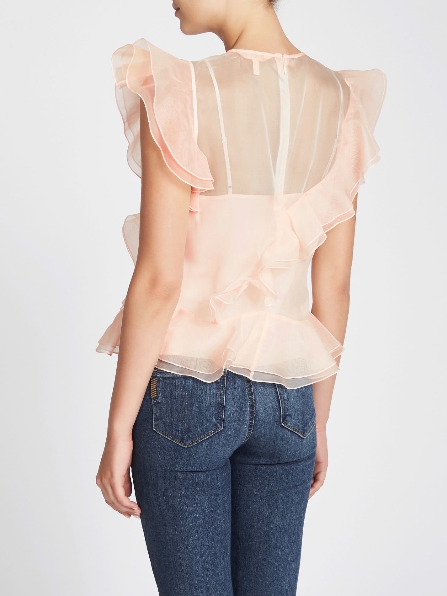 Rebecca Taylor Organza Ruffle Top - Champagne | Garmentory