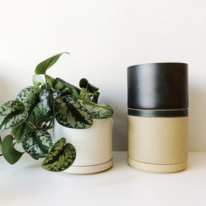 Hasami Porcelain Planter Set | Garmentory