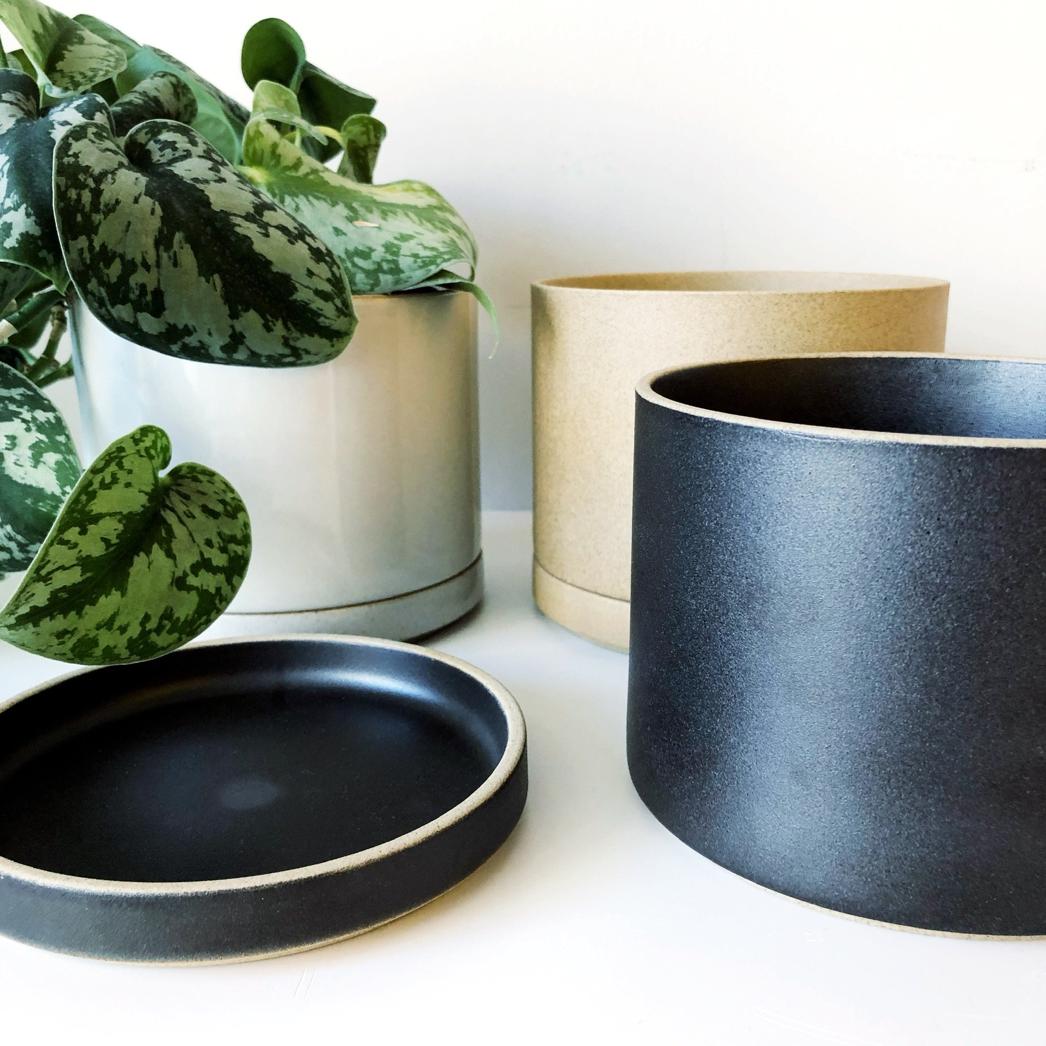 Hasami Porcelain Planter Set | Garmentory