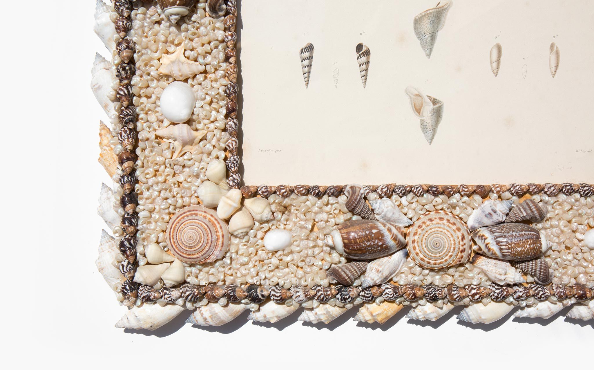 Kindred Black Antique Shell Engraving | Garmentory