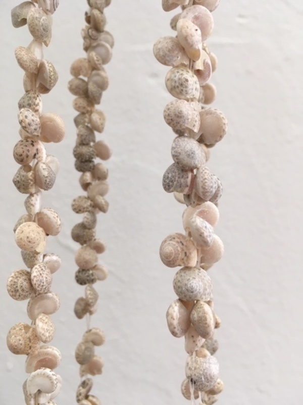 Vintage Samoan Shell Necklace | Garmentory