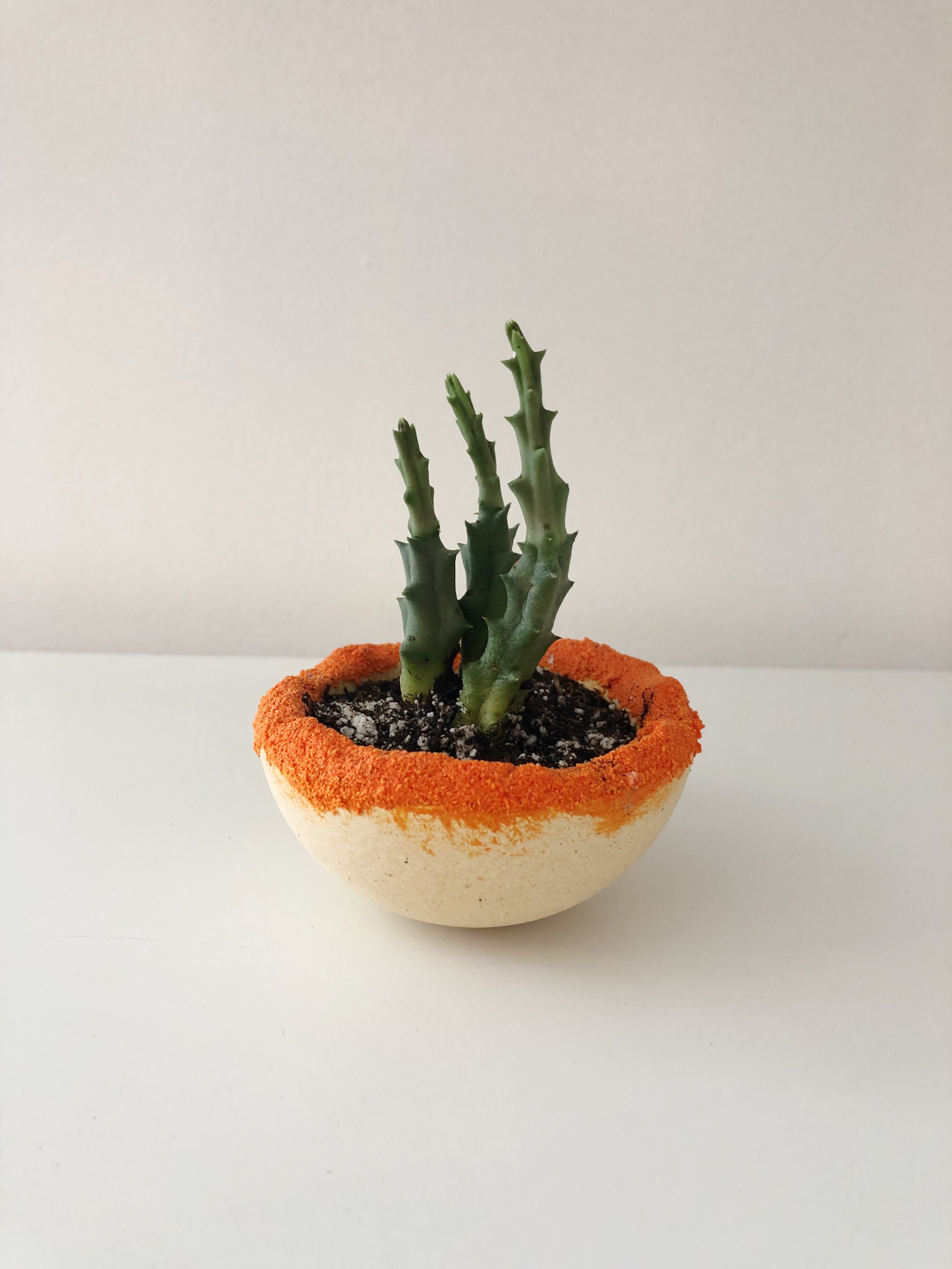 Studio Story ROLY-POLY DANNCING POTS | Garmentory