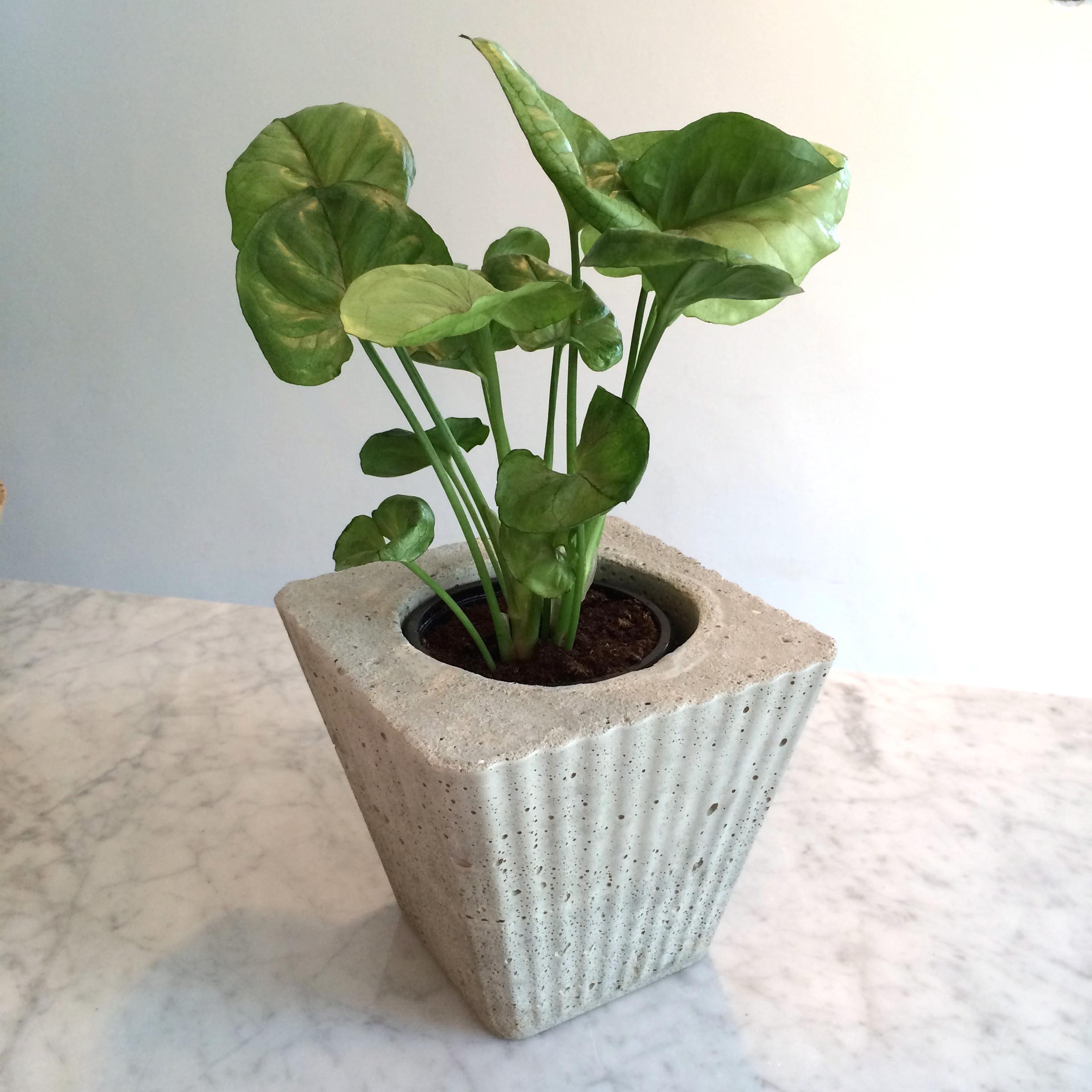 an artful life Concrete ridged pot | Garmentory
