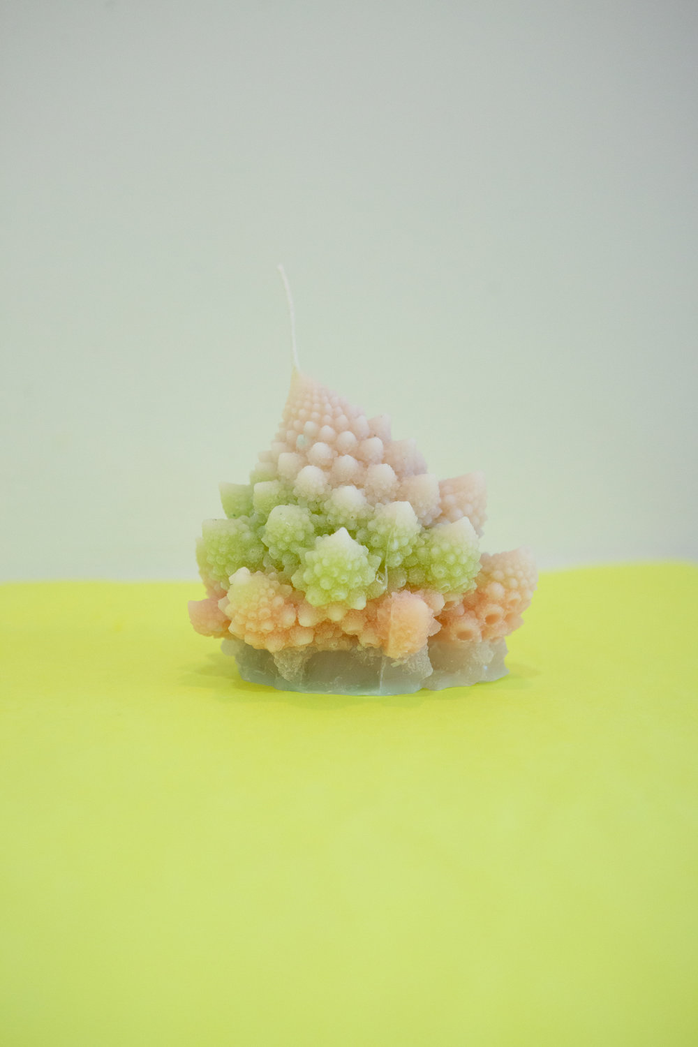 Piera Bochner Romanesco Broccoli Candle | Garmentory