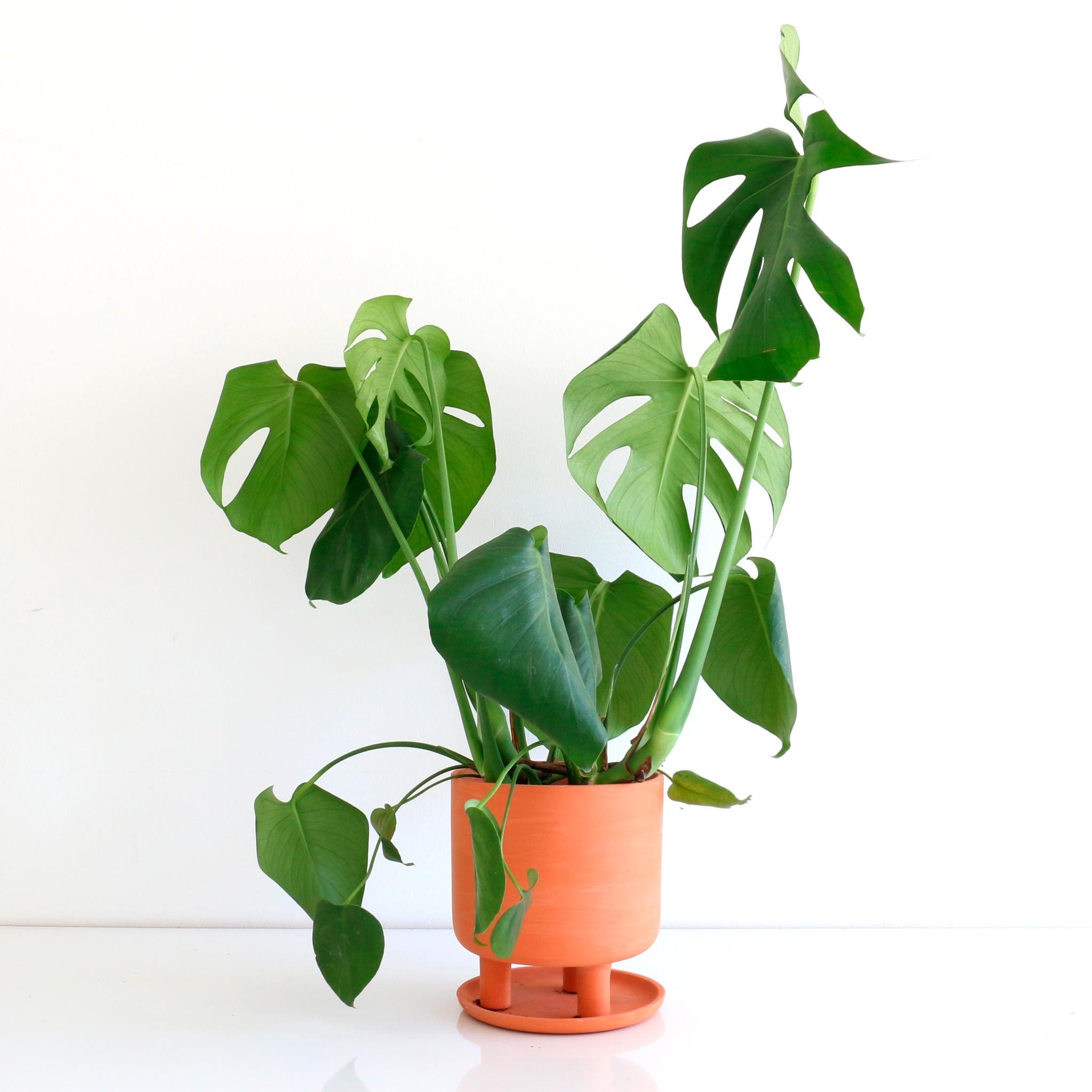 Studio Arhoj Big Tri-Pot - Terracotta | Garmentory