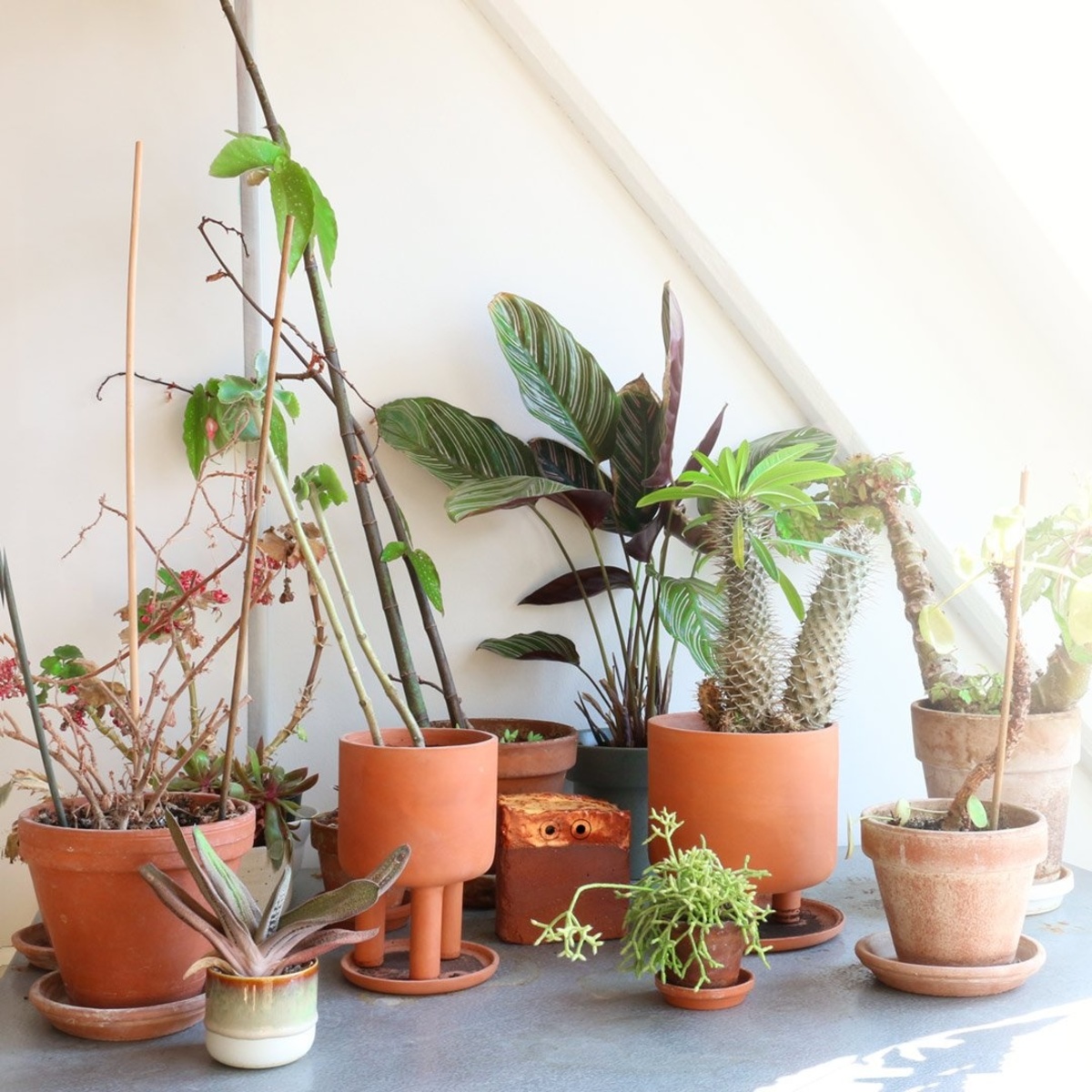 Studio Arhoj Tri Pot Small - Terracotta | Garmentory