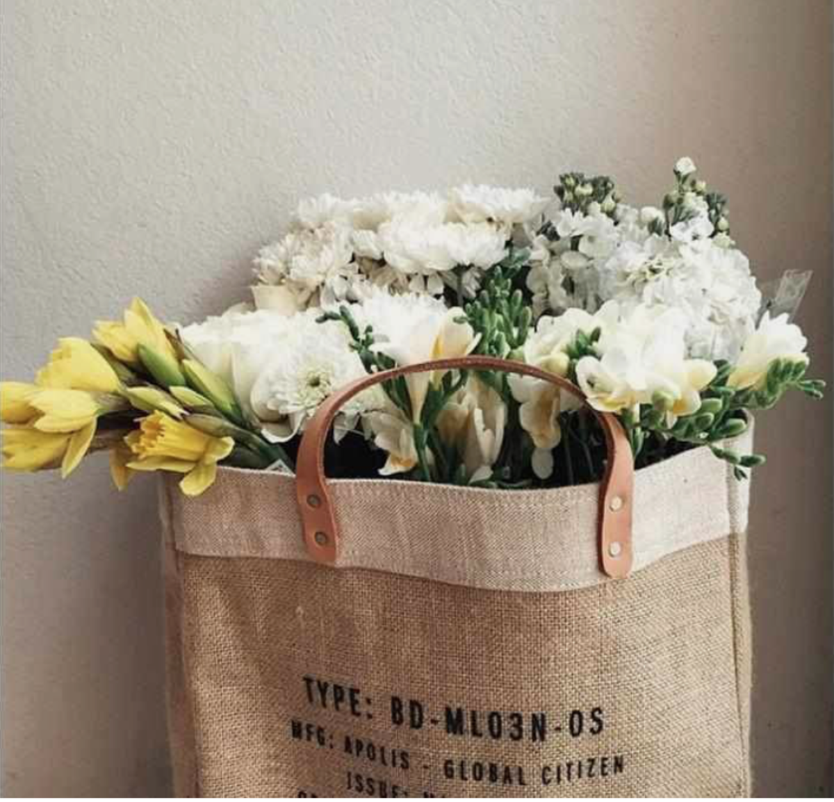 Apolis Market Tote - Tan | Garmentory