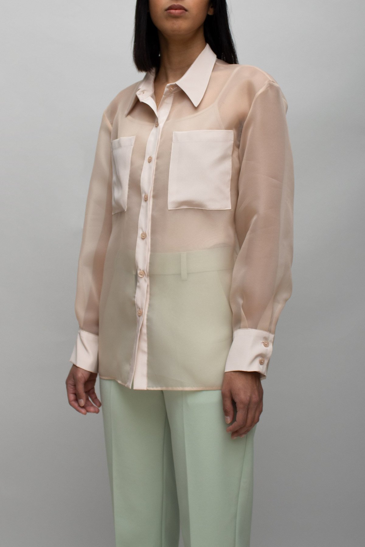 W A N T S Sheer Button Blouse - Beige | Garmentory