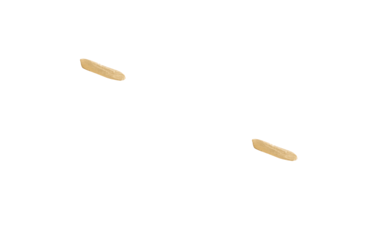 WWAKE Dash Wisp Earring | Garmentory