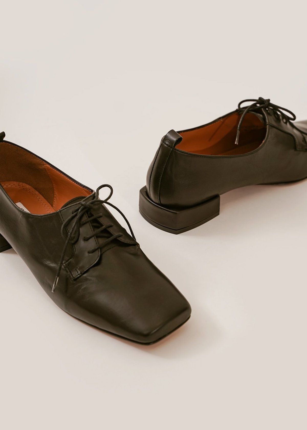 About Arianne The Joseph Shoe - Black | Garmentory